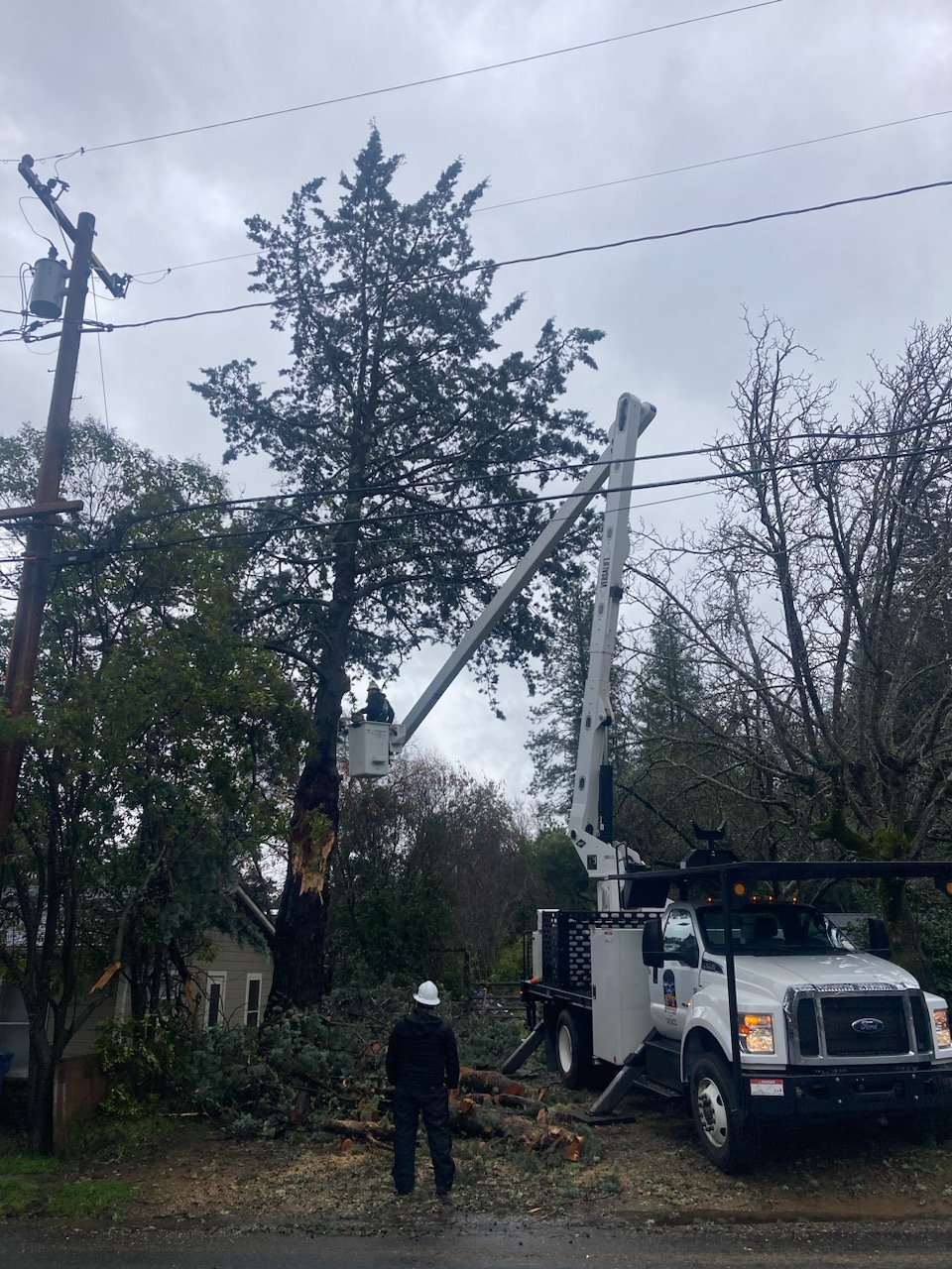 Residential Tree Services Near Laytonville - Family Tree Service